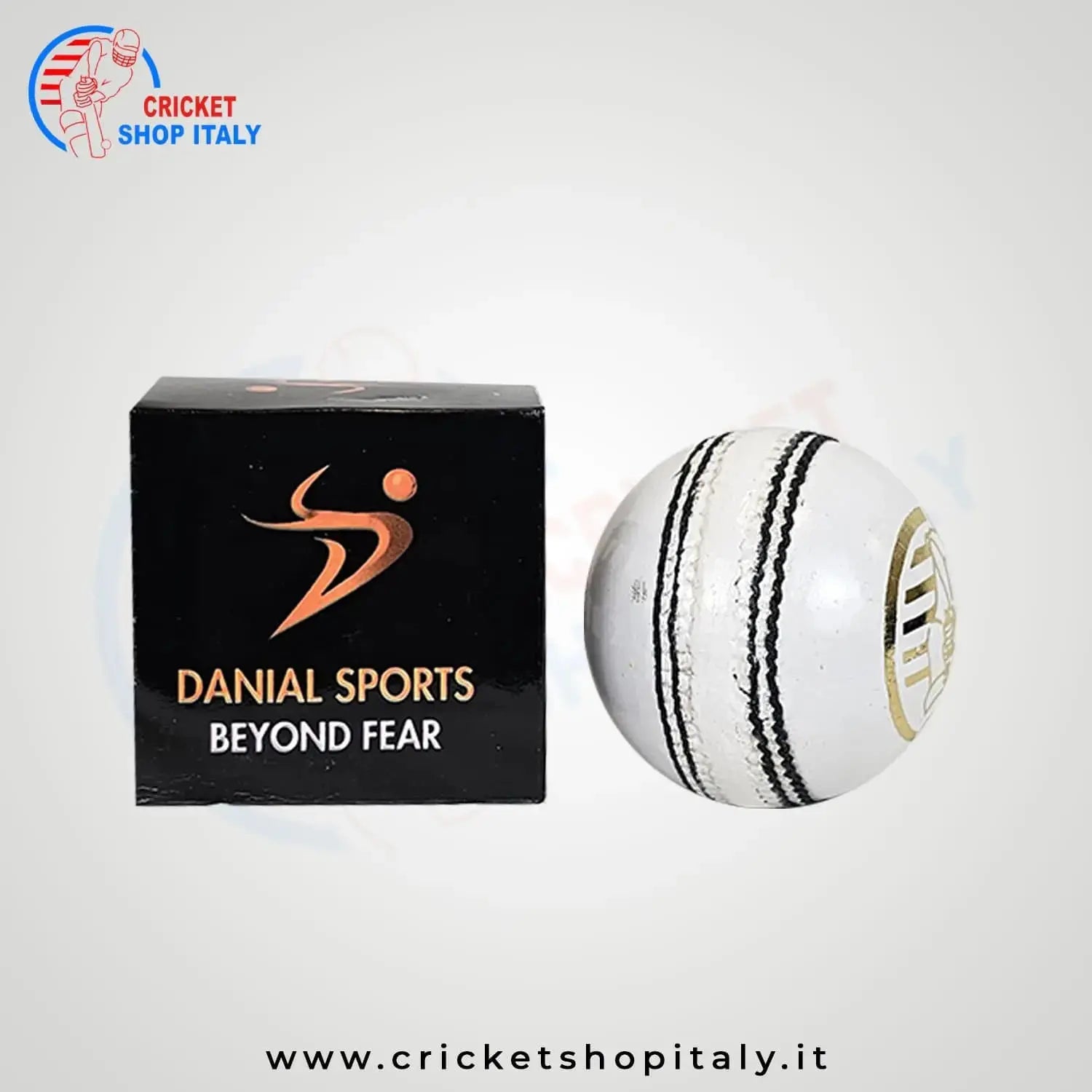DS T20 Cricket Ball | Cricket Shop Italy